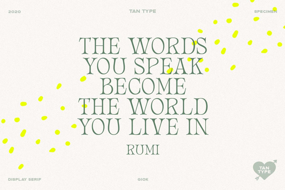 TAN - GIOK, a Serif Font by TanType