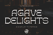 AGAVE DELIGHTS - Display Typeface, a Serif Font by Havinkpen | Creative ...