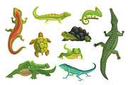 Reptiles and amphibians set of vector Illustrations, an Animal ...