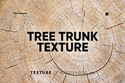 20 Tree Trunk Textures, a Texture Graphic by CCPreset