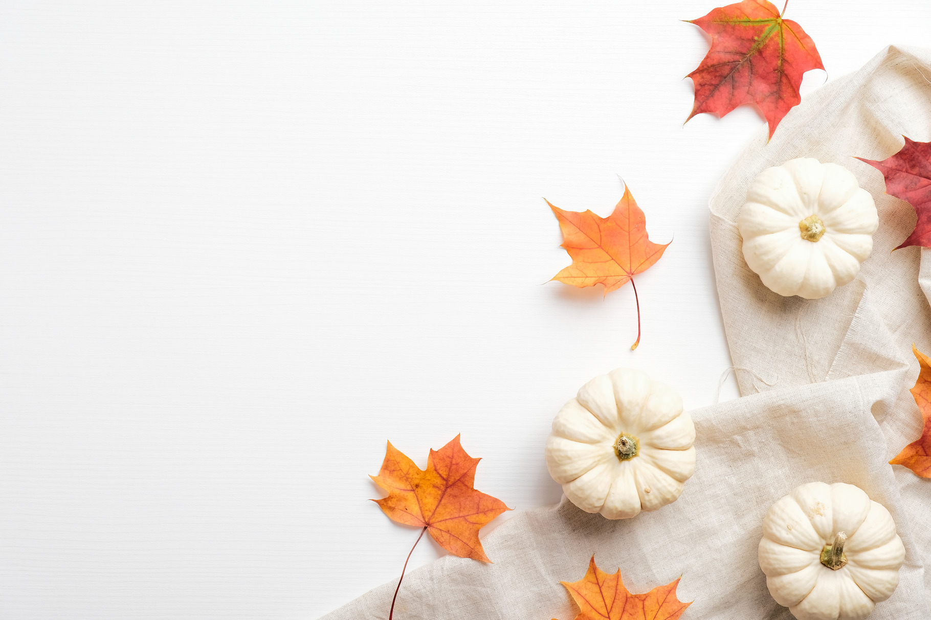 Autumn background with dry leaves, a Holiday Photo by photoguns