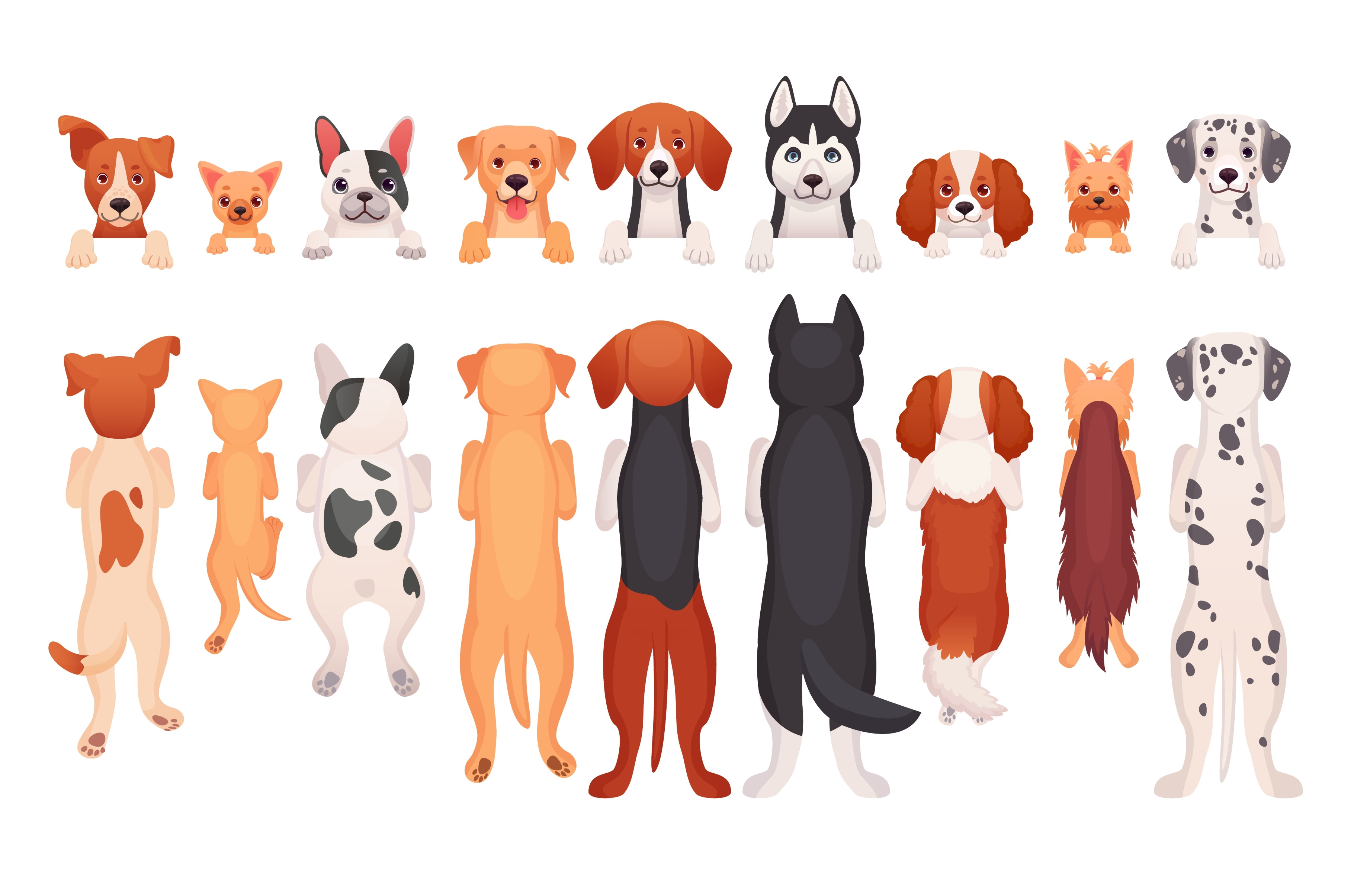Hanging dogs. Peeking pets front or, a Background Graphic by Stock ...