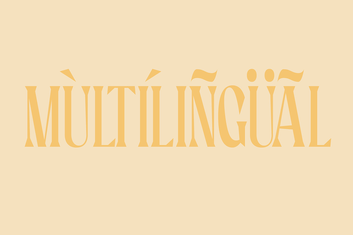 Magely - Stylish Serif Font Family, a Serif Font by Craft Supply Co.