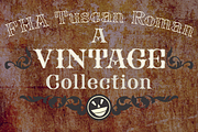 FHA Tuscan Roman, a Serif Font by Fontry West