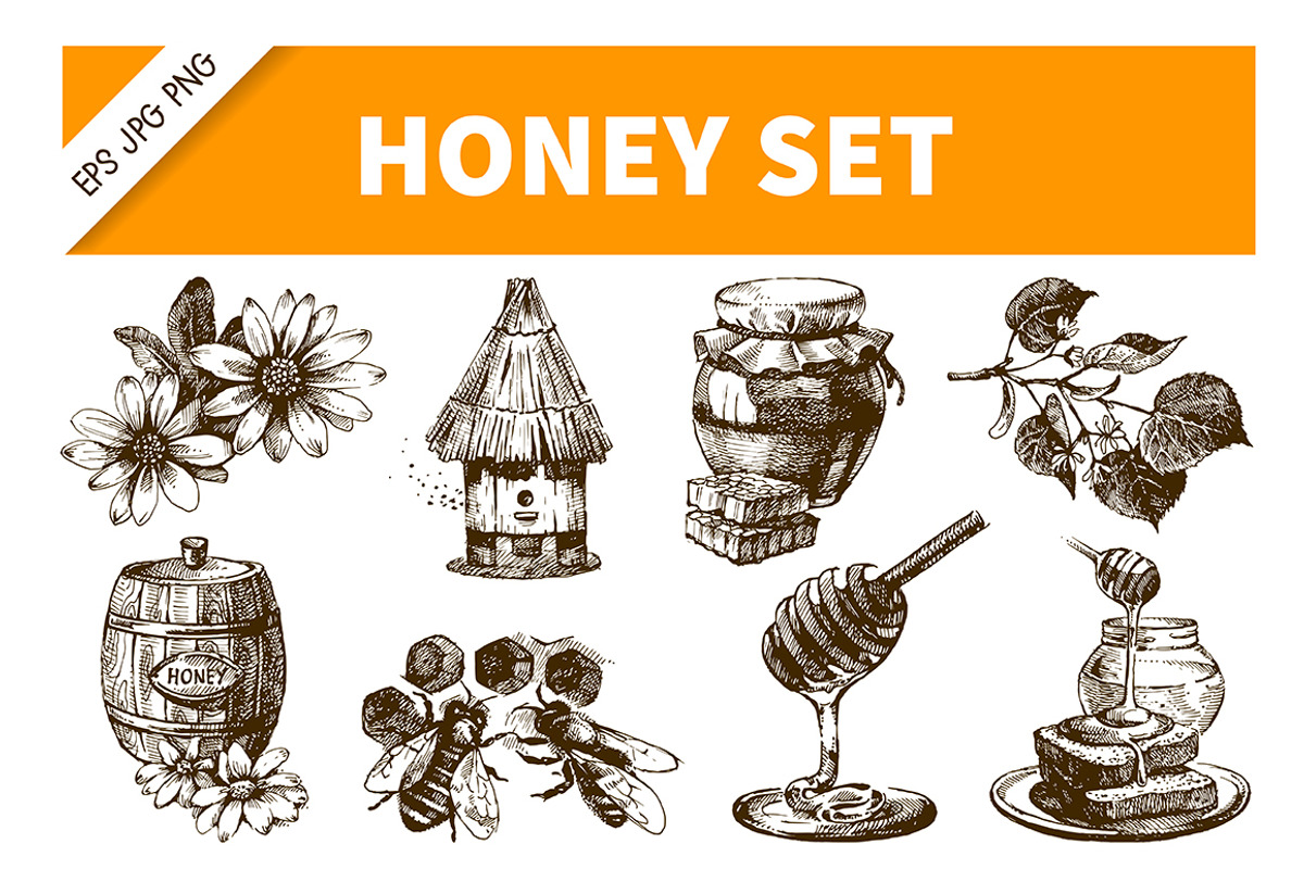 Hand Drawn Bundle Vector Set, an Object Illustration by Elena Pimonova