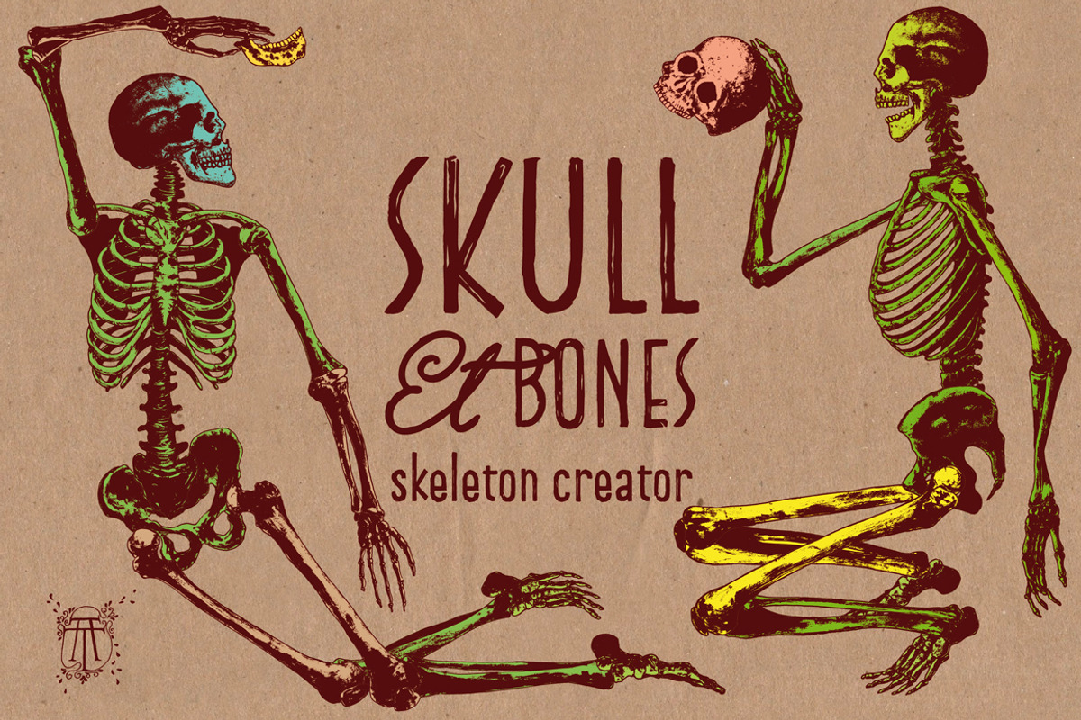 Skeleton Creator - Front & Profile, an Illustration by Andrea Tardivo ...