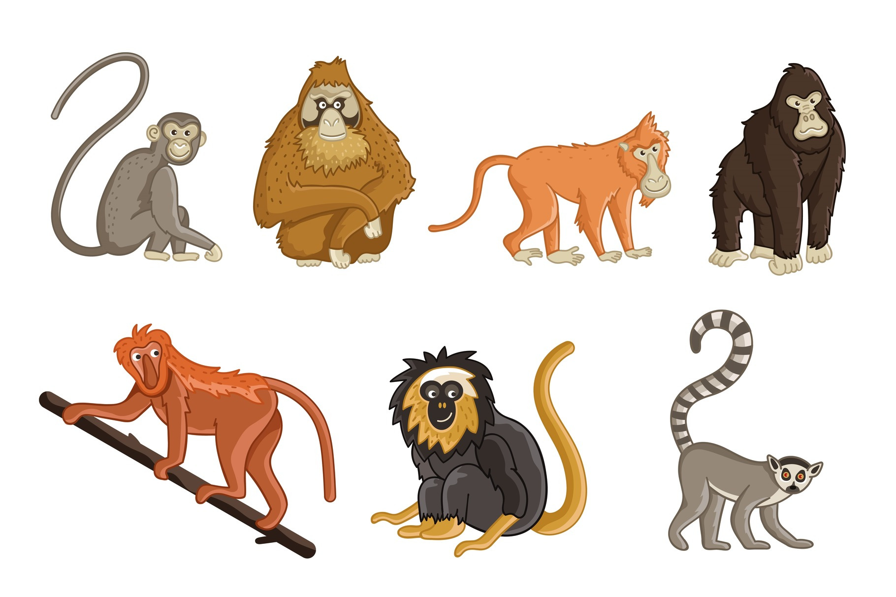 Cartoon monkeys. Wildlife and zoo, an Animal Illustration by ...