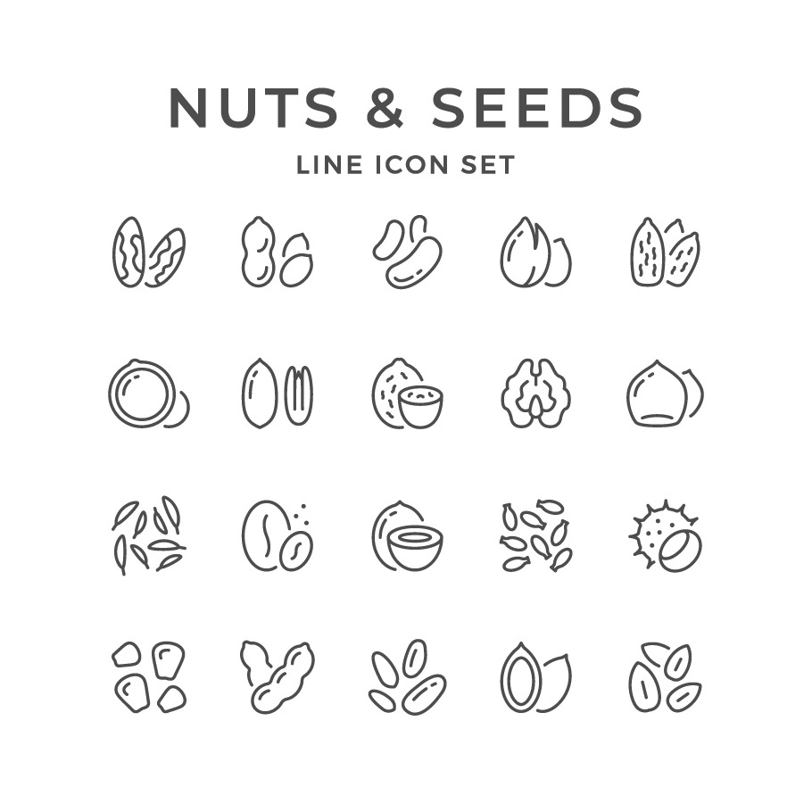Set line icons of nuts and seeds, an Outline Icon by motorama