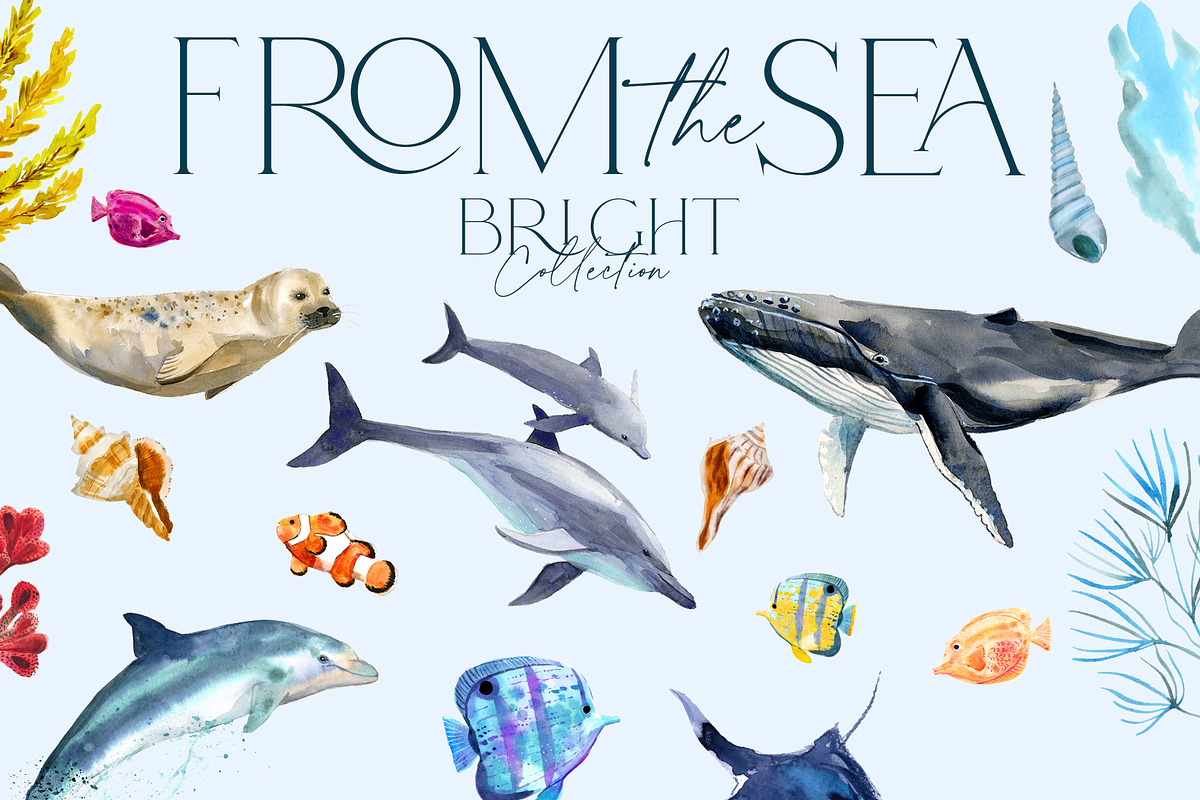 From The Sea Ocean Clipart, an Illustration by Twigs and Twine