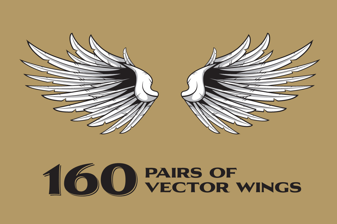 160 Pairs of Vector Wings, an Object Graphic by Damien