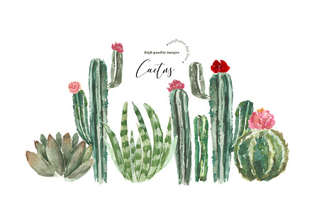 Cactus Kit Clipart | Illustrations ~ Creative Market