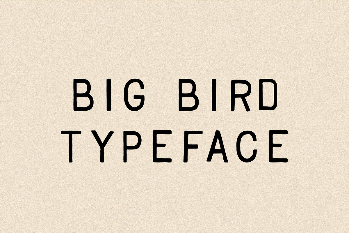 Big Bird | A Vintage Stamp Typeface, a Handwritten Font by Taylor Penton