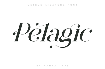 MARG, a Serif Font by Qamber Designs & Media