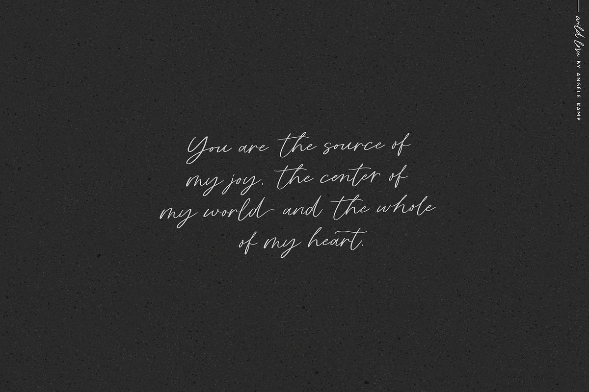 Script font Wild Love logos, a Script Font by Angele Kamp