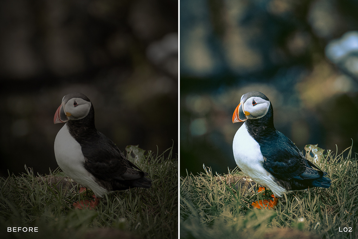 15 Leica Lightroom Presets, a Preset Add-On by Lavinsky Art Store