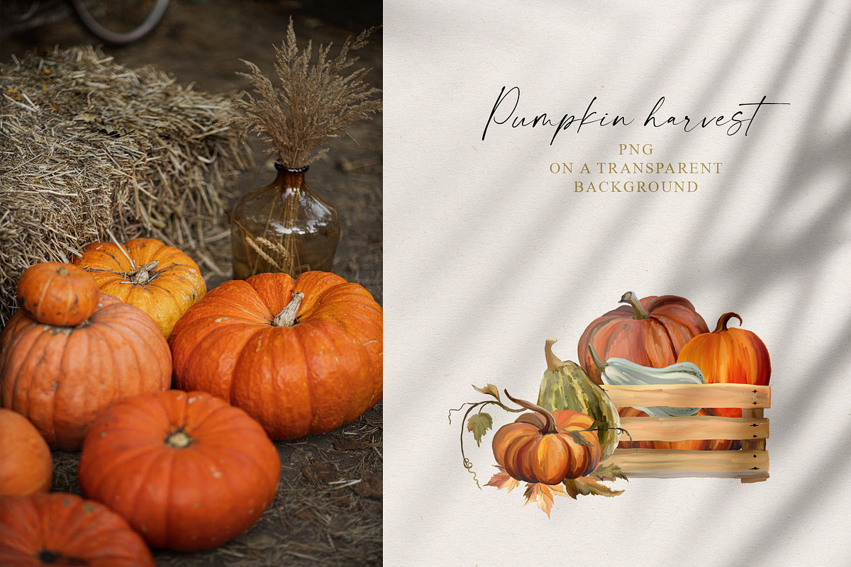 Pumpkin harvest - autumn clipart, an Illustration by Vasmila
