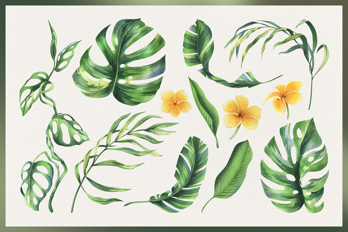 Coconuts tropical leaves watercolor, an Illustration by NATASHA CHU ...