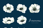 Anemone handpainted floral set, an Illustration by everysunsun