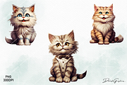 Funny Cat Sublimation | Creative Market