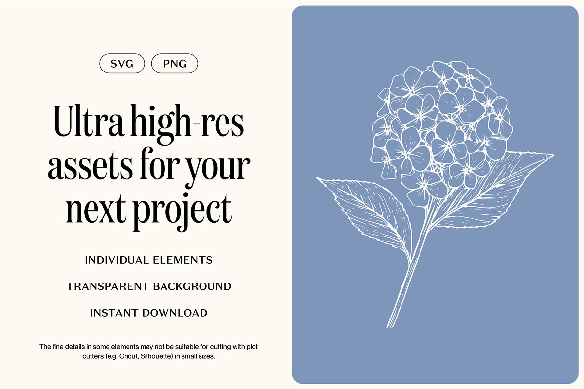 Hydrangeas Floral Line Art, an Illustration by Plantyful