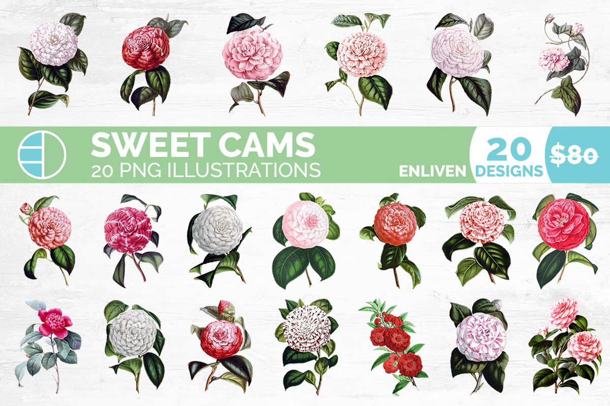 Flowers Bundle (100 Flowers), an Illustration by Enliven Designs ...