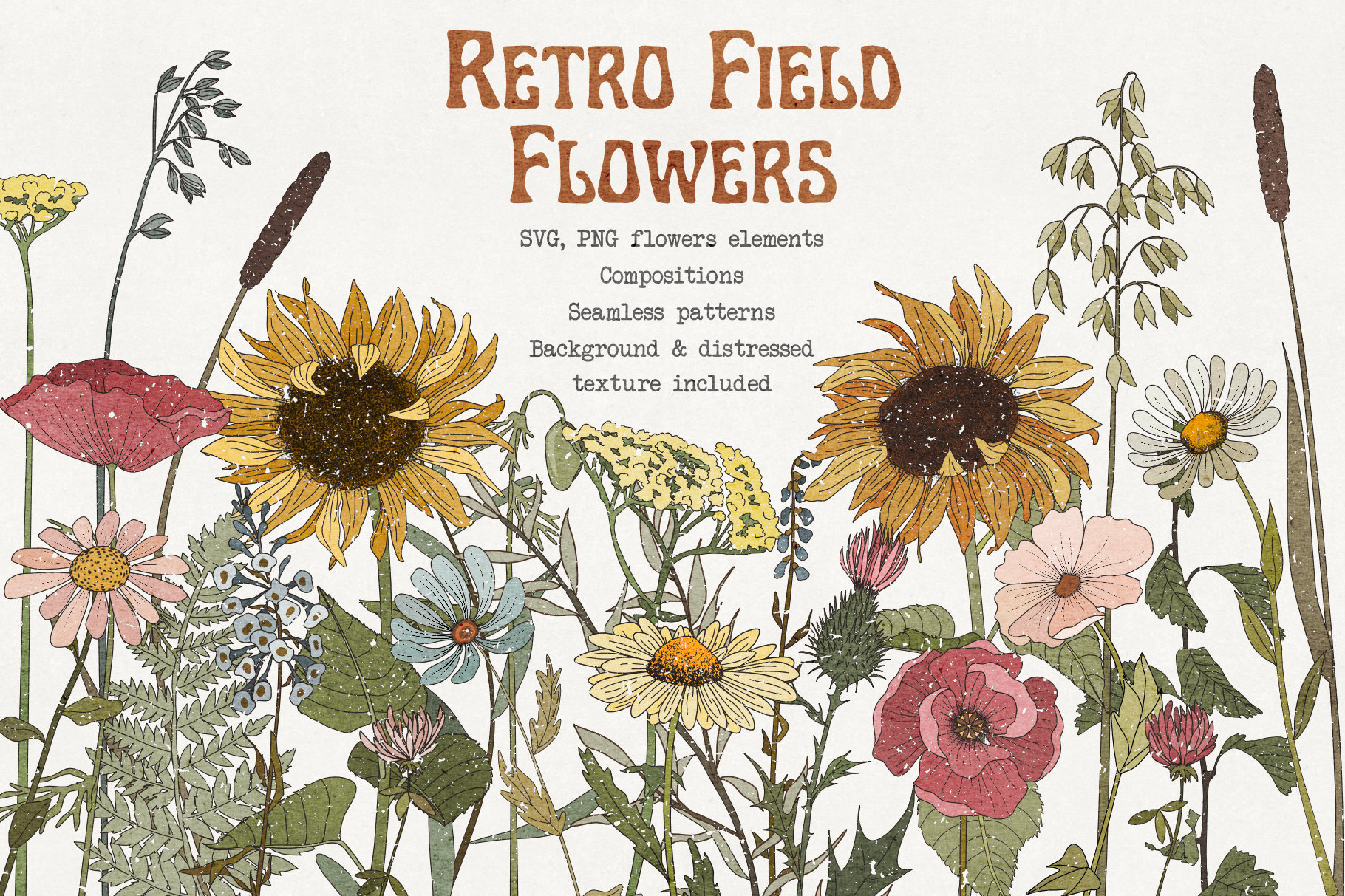 Retro field flowers & sunflowers, a Decorative Illustration by marie dricot