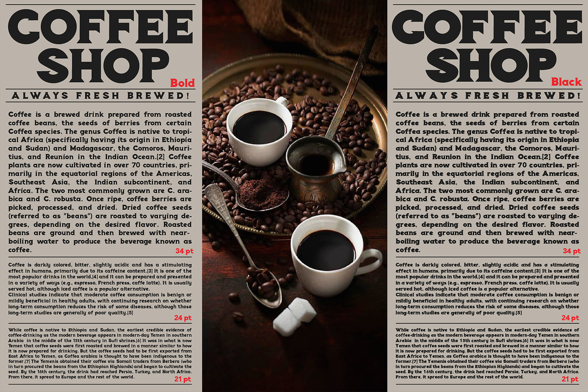 Metallum-Serif Font Family, a Serif Font by Artistic & Unique ...