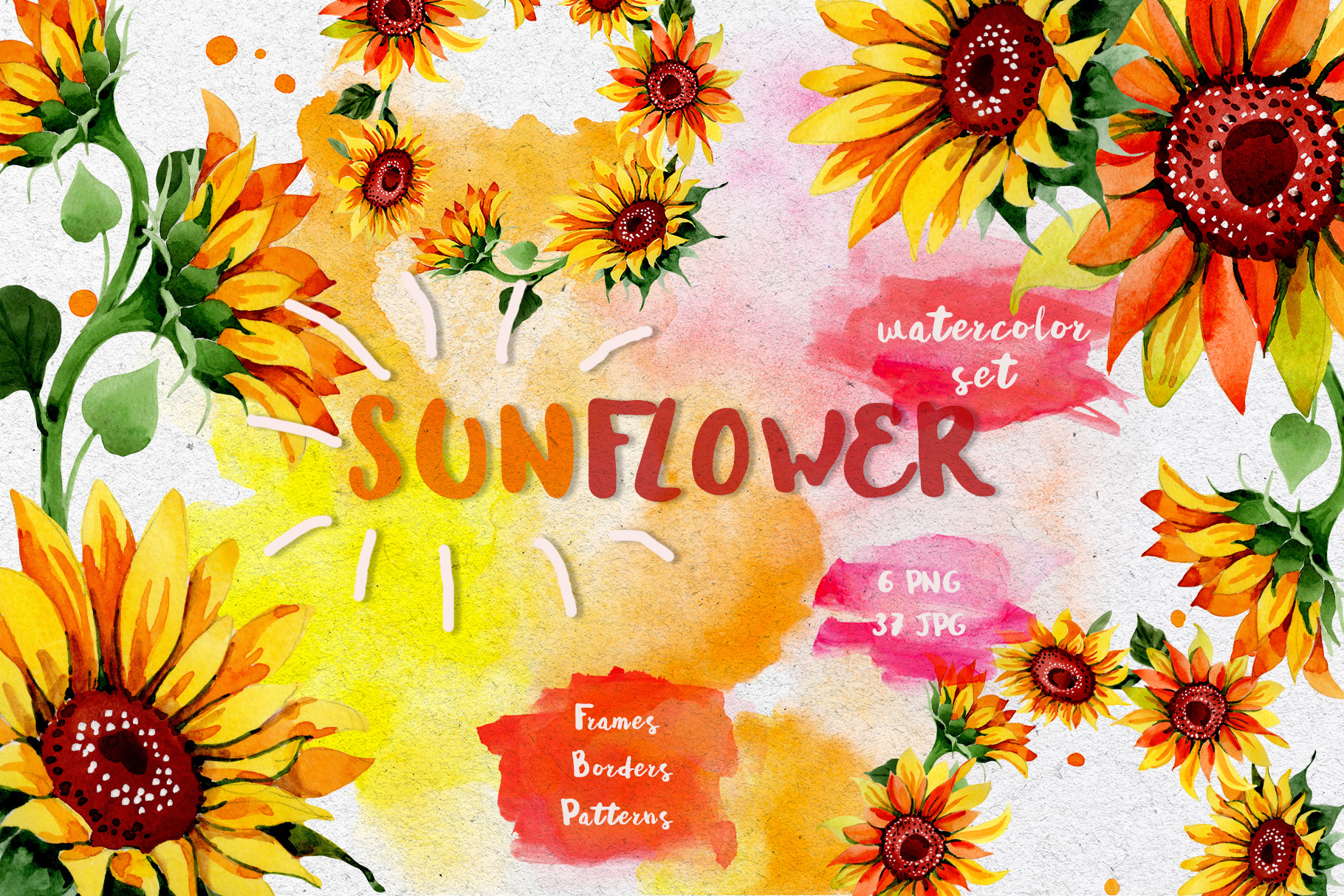 Sunflower PNG watercolor flower set, a Seasonal Illustration by ...