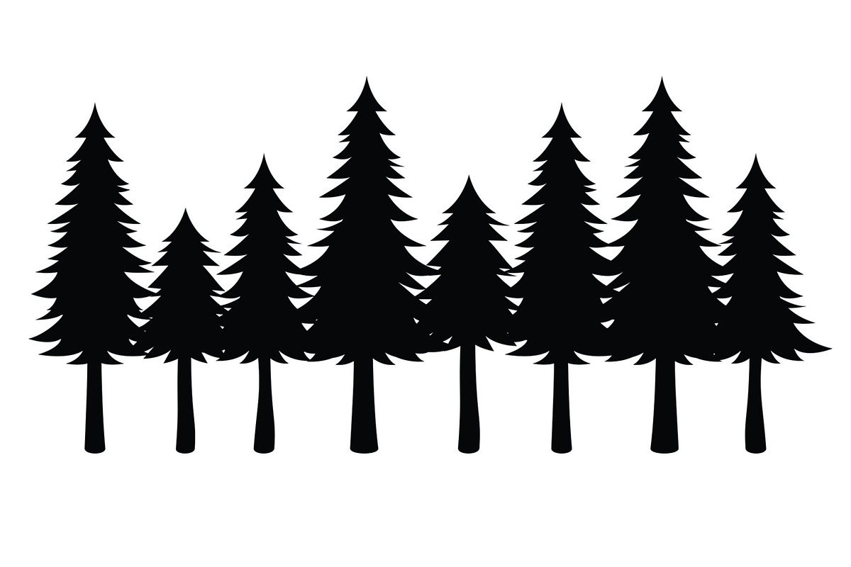 Pine tree svg, fir tree, spruce tree, an Illustration by ...