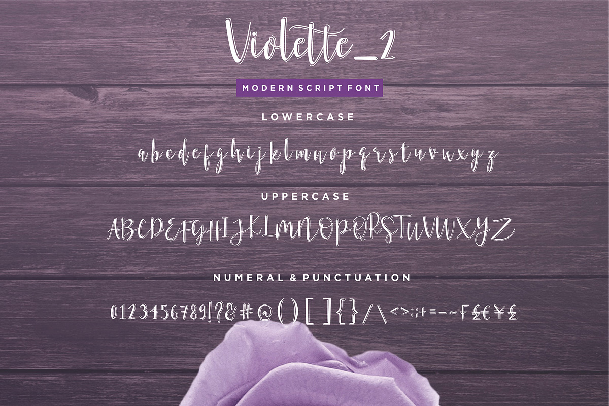 Violette Script Font, a Script Font by Sronstudio | Creative Market