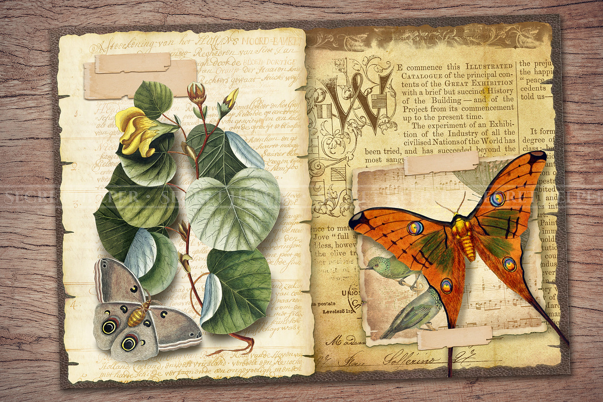 Butterfly Scrapbook Kit