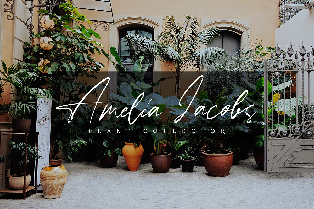 Ballerina - Signature Script Font, a Script Font by StringLabs | Creative Market