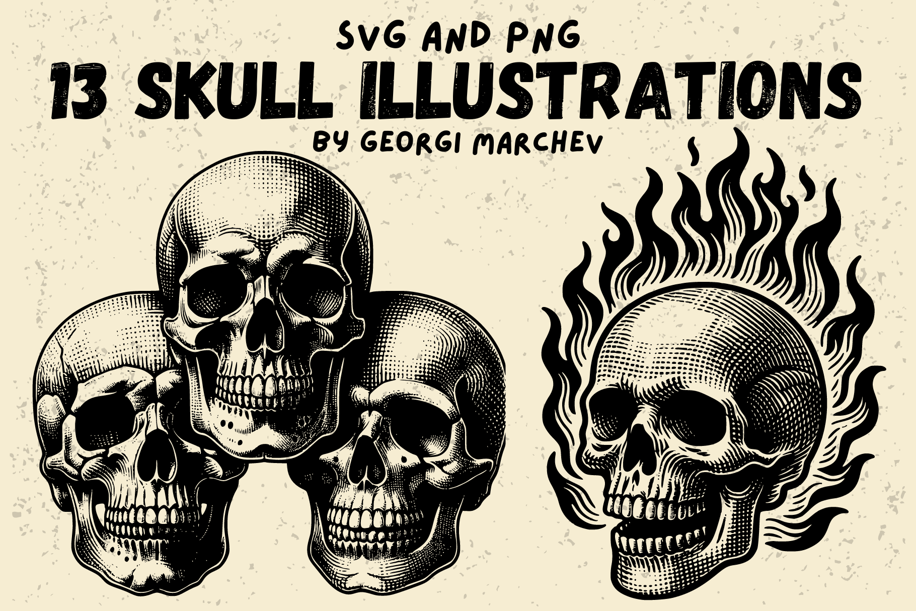 Vintage Skull Drawing Bundle SVG PNG, an Object Illustration by Ray Crimson