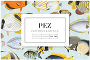 Pez, Exotic fish Patterns & Motifs, a Pattern Graphic by Pink Linen