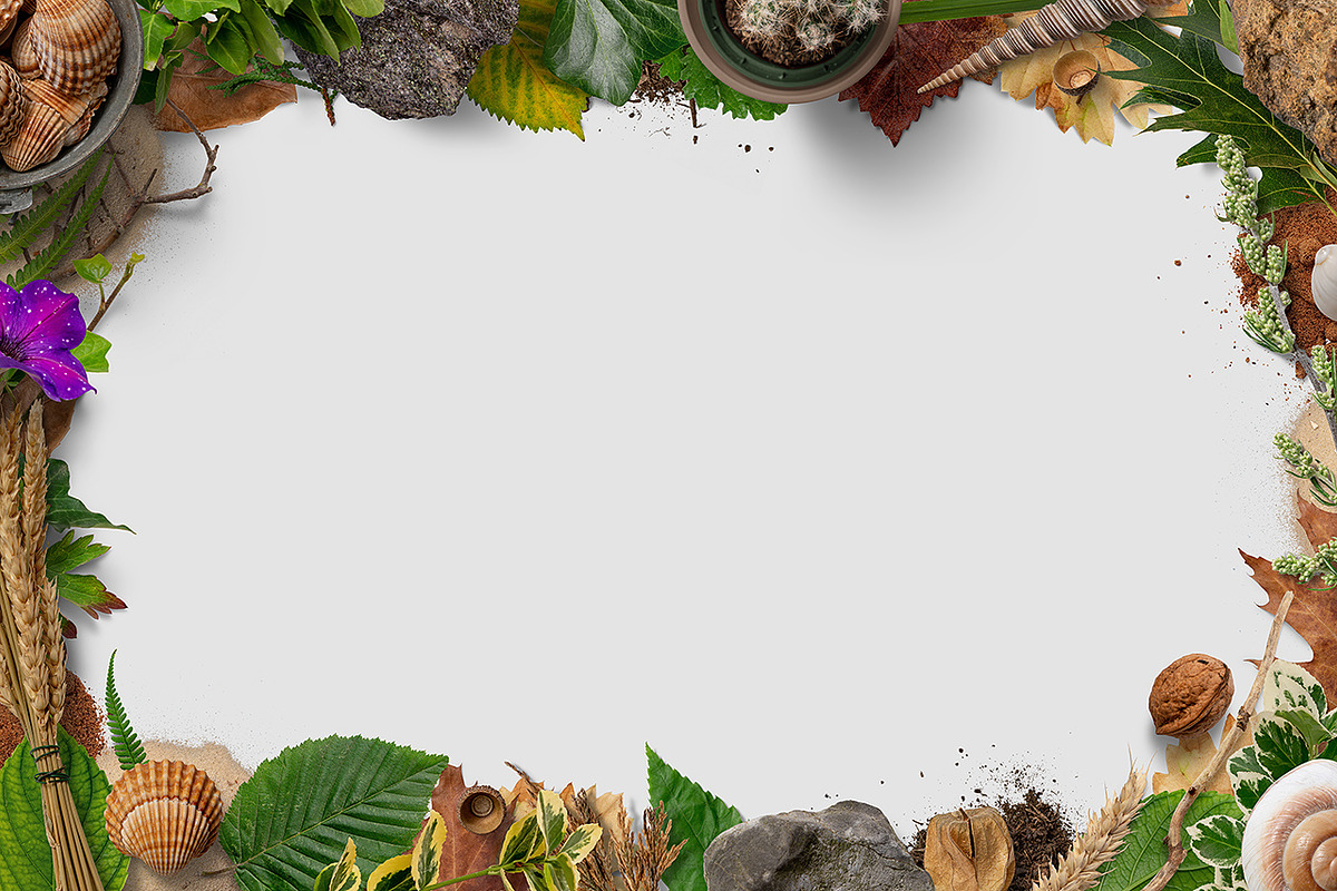 5 Nature Frames, an Object Graphic by h3design