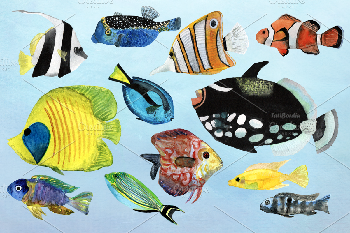 12 Watecolor Tropical Fish Clip Art, an Object Graphic by Tati Bordiu