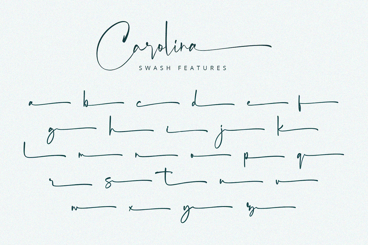 Carolina - Stylish Script Font