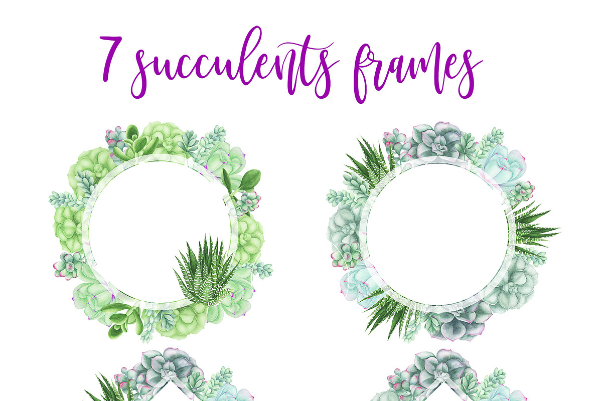 Succulents Bundle, a Decorative Illustration by Plants&Stuff