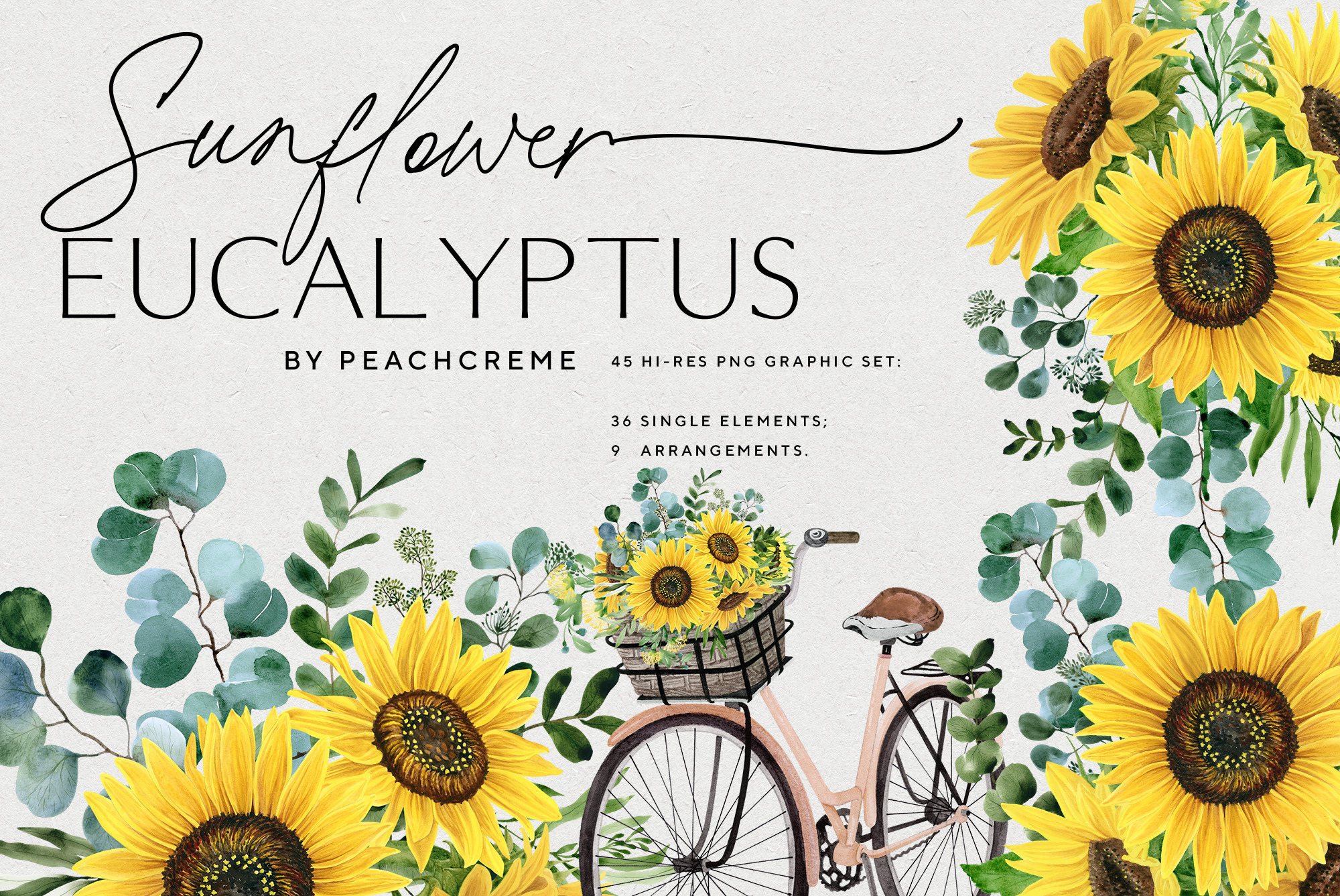 Sunflower Eucalyptus//Watercolor Set, an Illustration by PeachCremeArt
