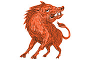 Angry Razorback Ready To Attack, an Animal Illustration by patrimonio