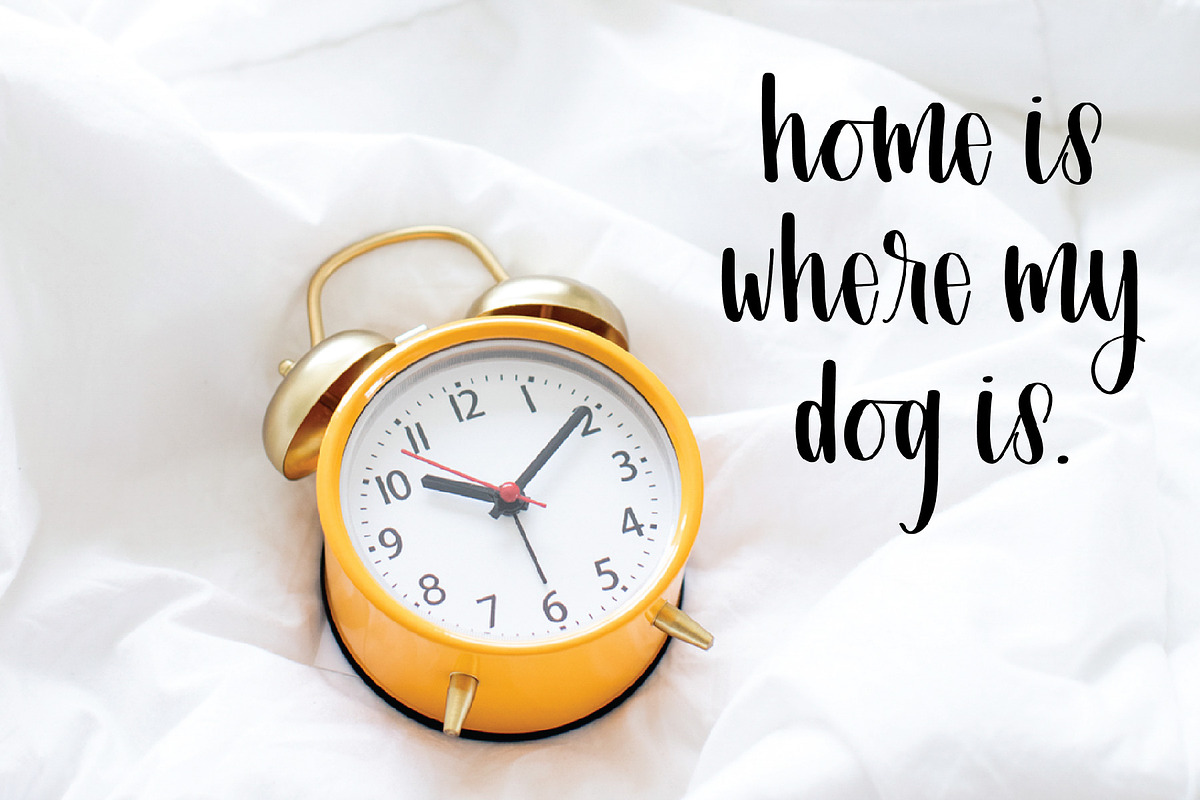 Scout Sans Handwritten Font, a Sans Serif Font by Hewitt Avenue