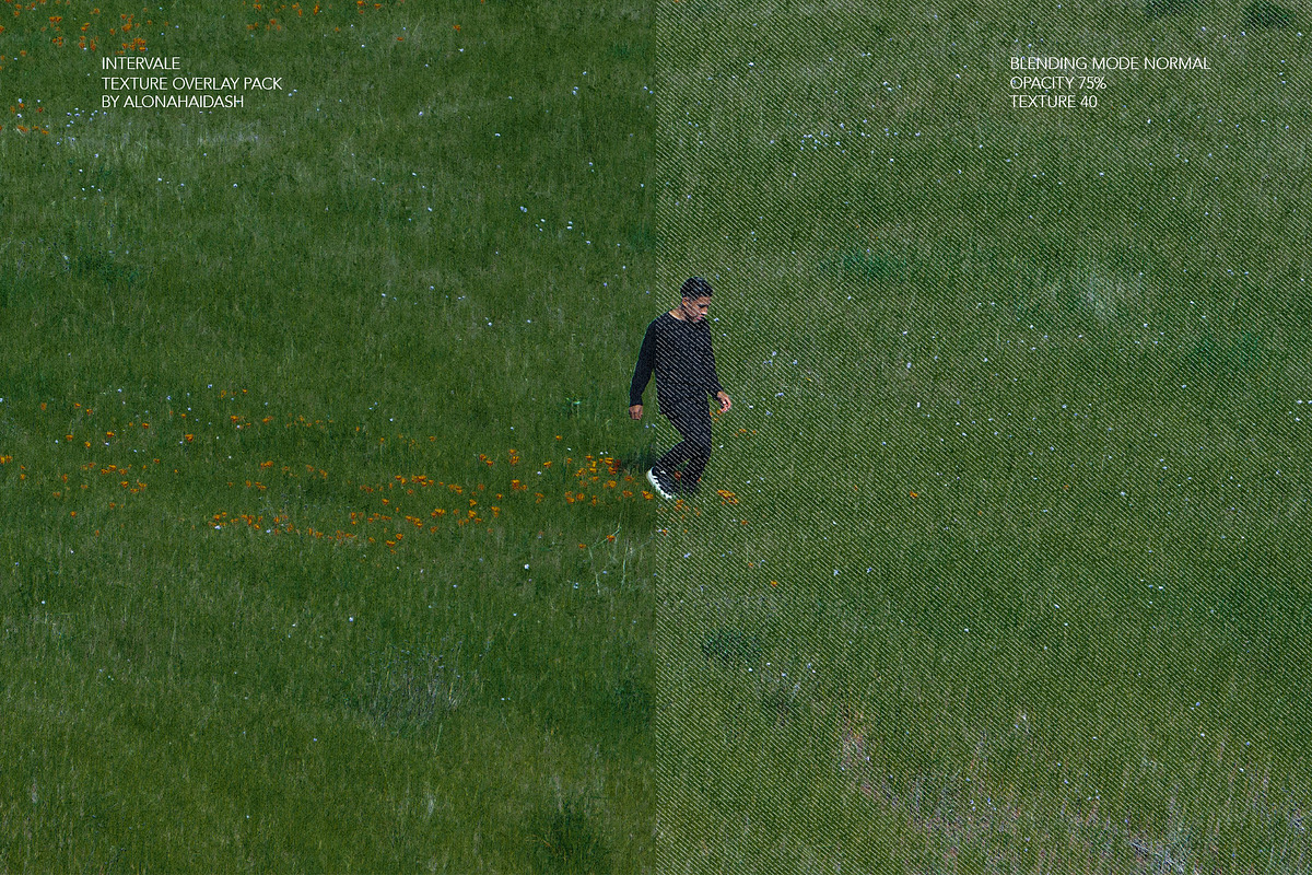 Intervale - Texture Overlay Pack, a Texture Graphic by alonahaidash