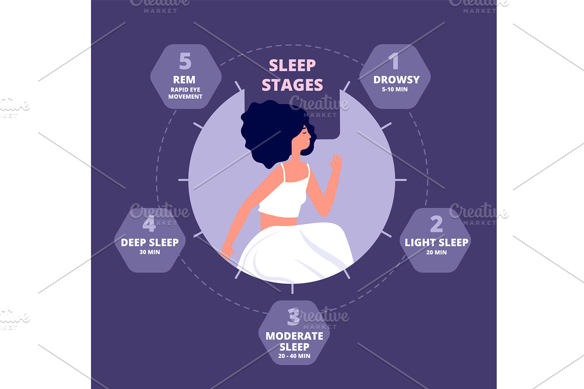 Sleep cycle. Healthy biology, a Graphic by Valerie Bodnar | Creative Market