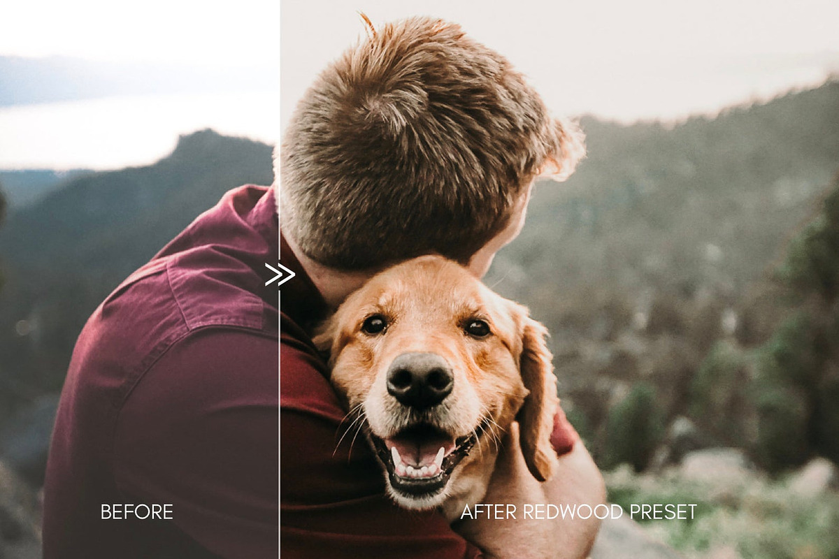 Moody Pet Photography Kit Presets, an Action Add-On by CityTurtles