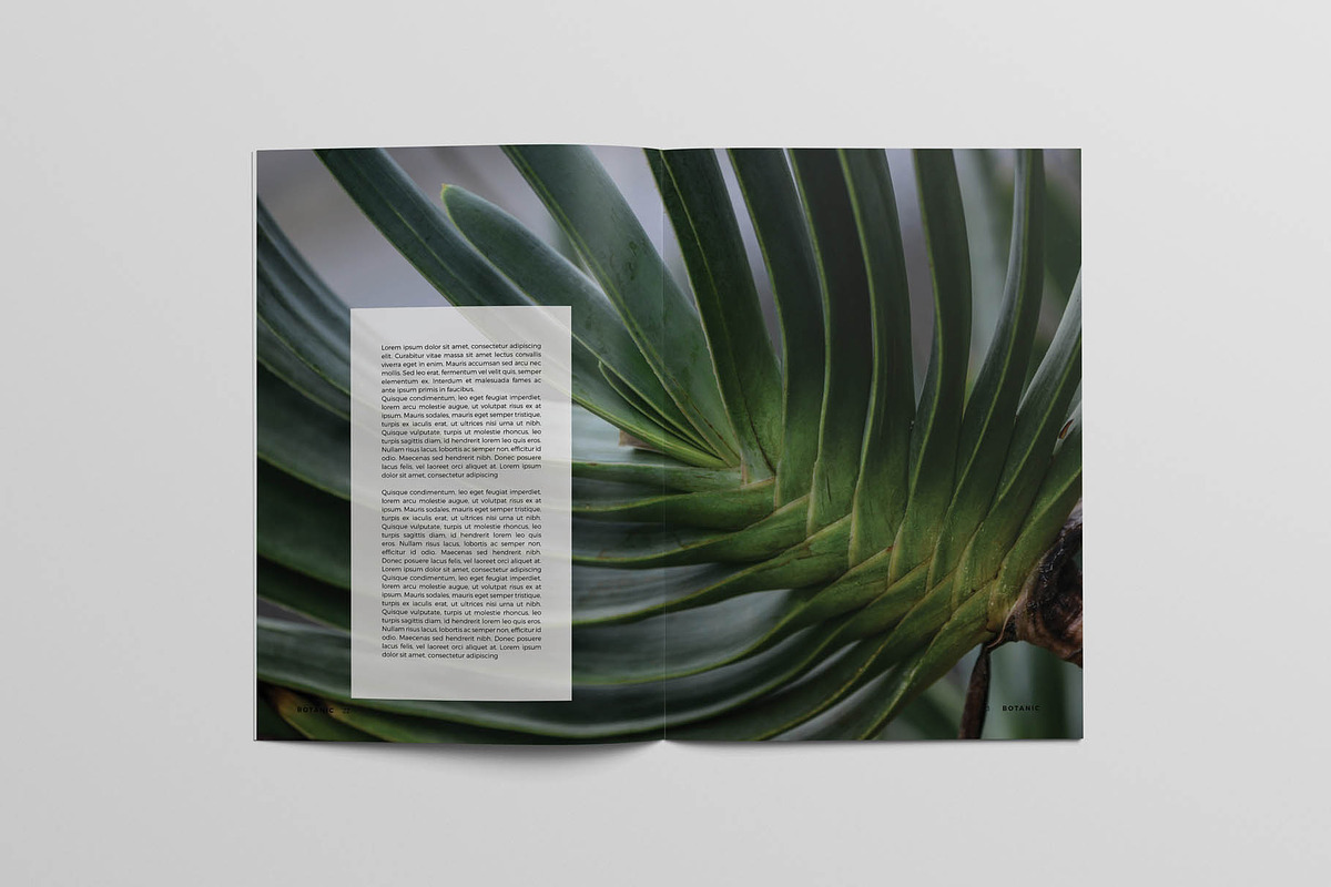 Botanic Magazine, a Magazine Template by New Lines