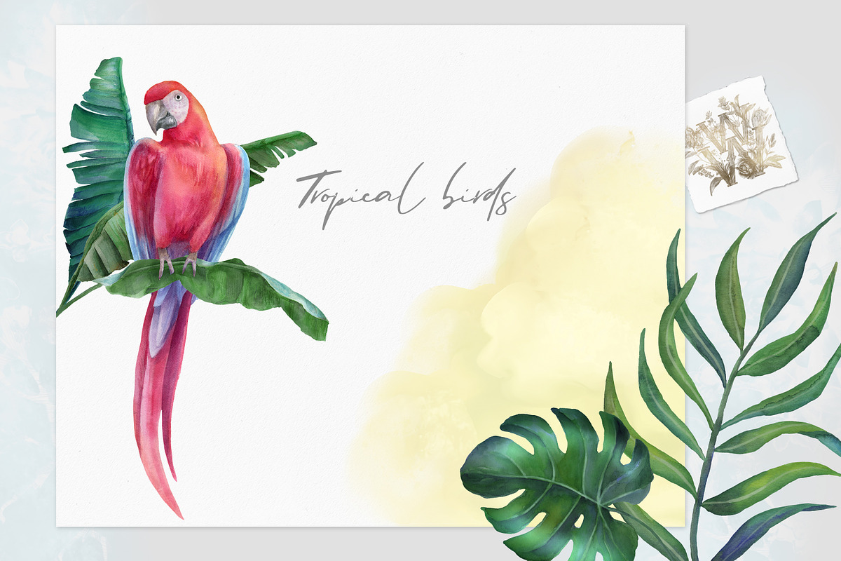 Watercolor tropical birds clipart