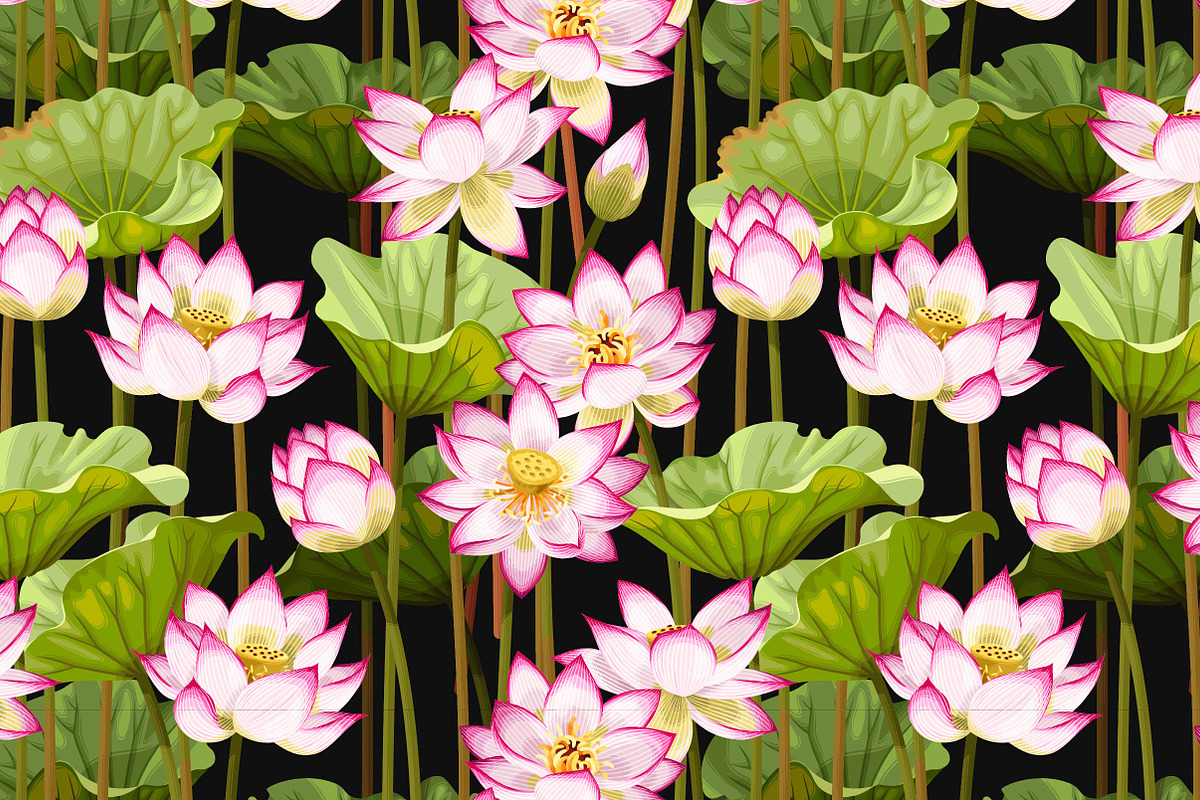 Lotus Patterns, a Pattern Graphic by GreyLilac