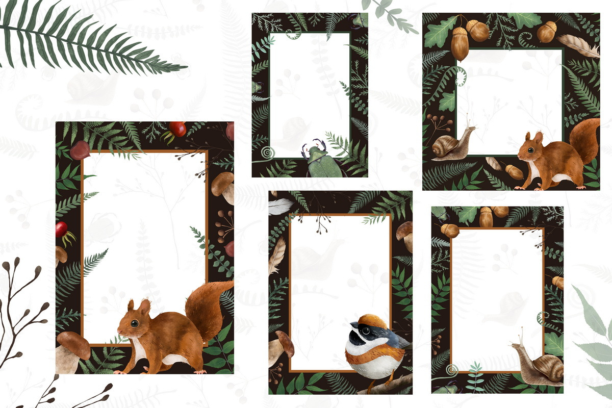 Forest life. Illustration set
