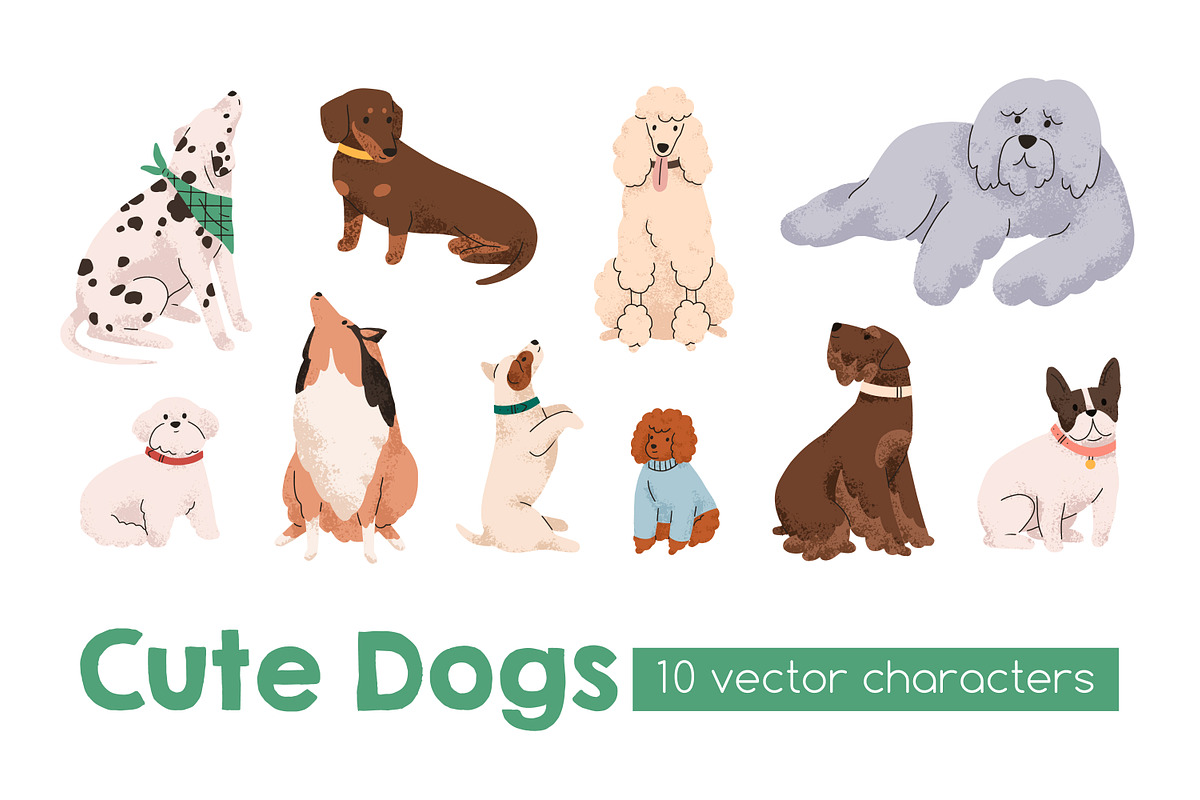 Cute dogs of different breeds set, an Animal Illustration by Good Studio
