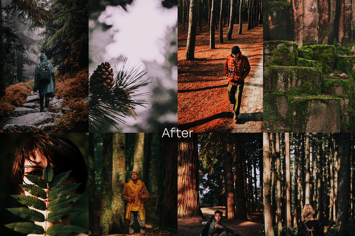 15 Moody Woods Lightroom Presets, a Preset Add-On by RamsaGraphi